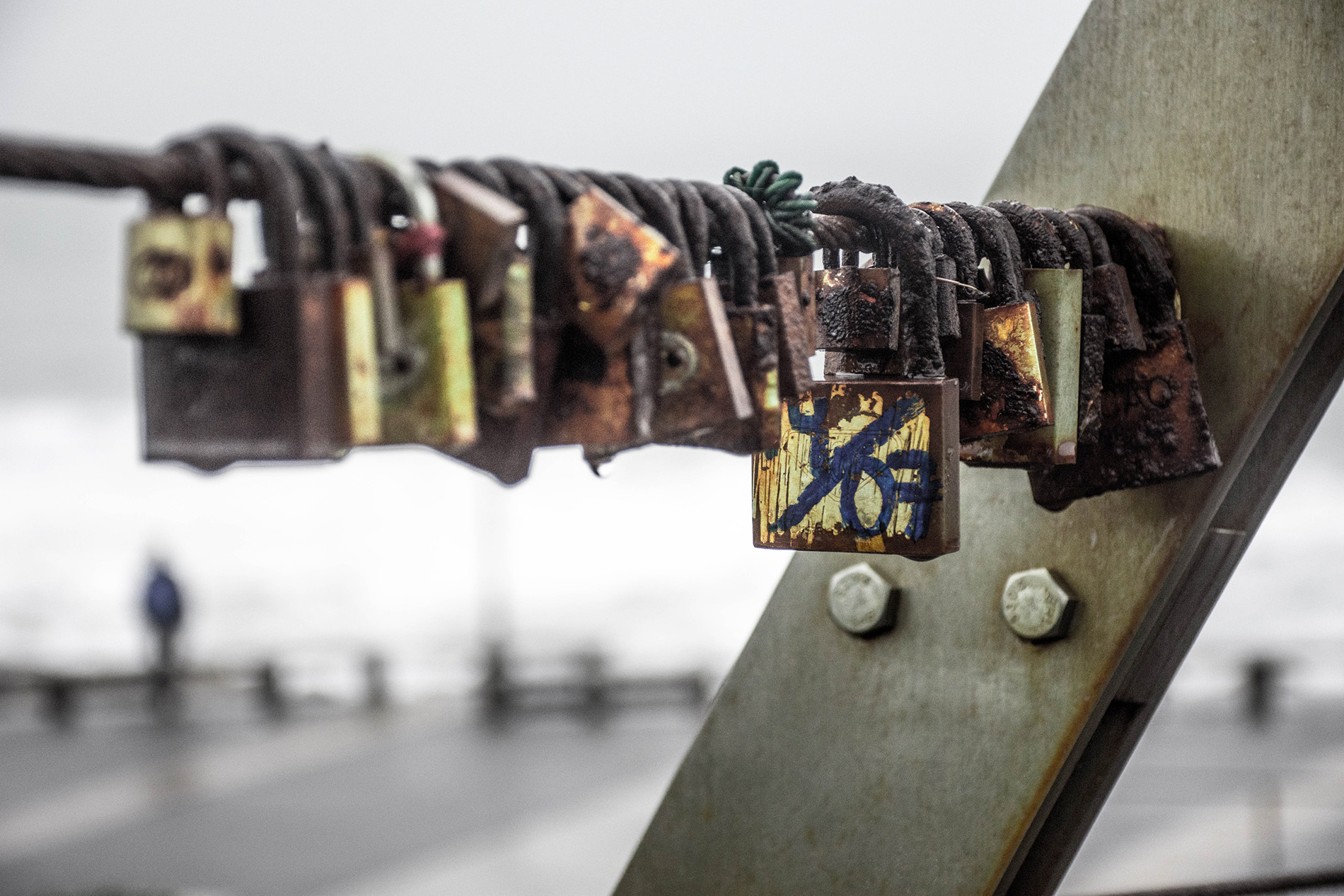 Instituto Radiológico | Muestra Imágenes de mi Ciudad 2020